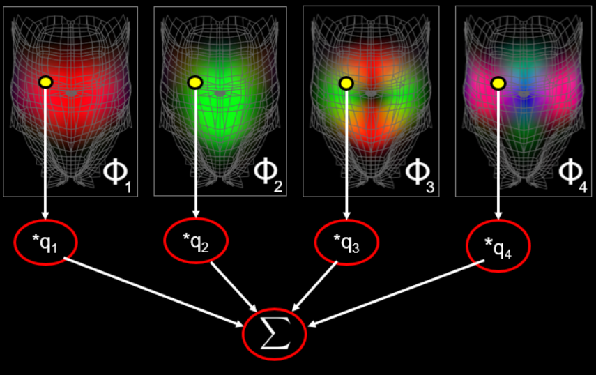 Real-time Soft Body Dynamics and Contact with GPUs | cs-sensorimotor